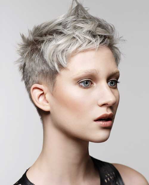 20 Pixie Haircut For Gray Hair Pixie Cut Haircut For 2019