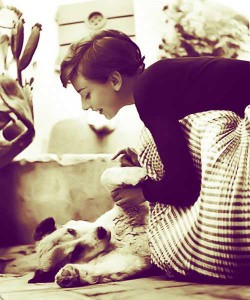 15 Good Audrey Hepburn Pixie Cut | Pixie Cut - Haircut for 2019