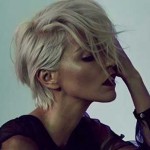 20 Layered Pixie Cuts 2015 - 2016 | Pixie Cut - Haircut for 2019